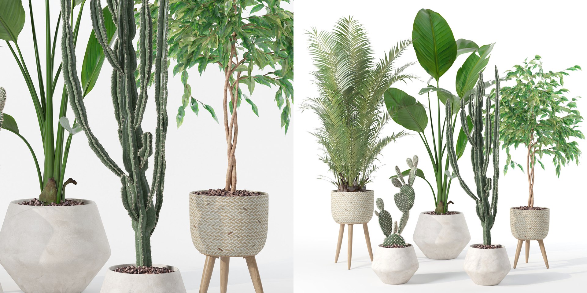 Plants Collection 119 3D Model - TurboSquid 1958873