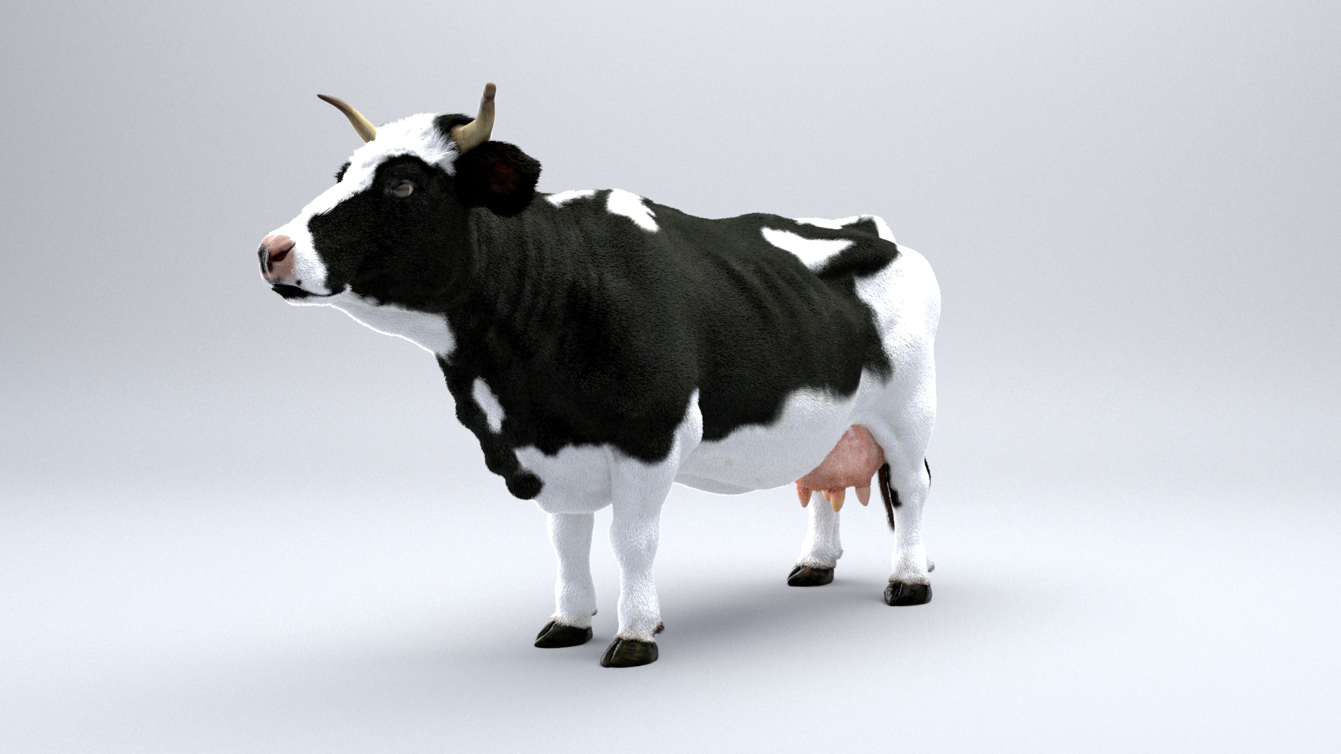 3D Dairy Cow Model - TurboSquid 1480074