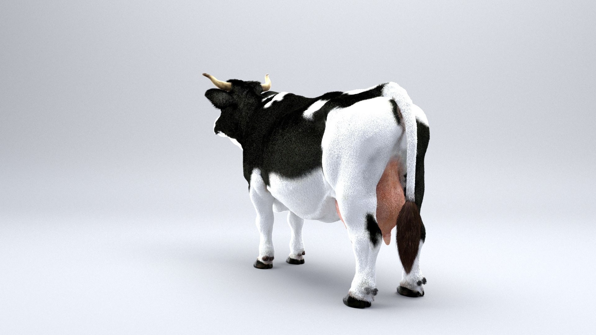 3D Dairy Cow Model - TurboSquid 1480074