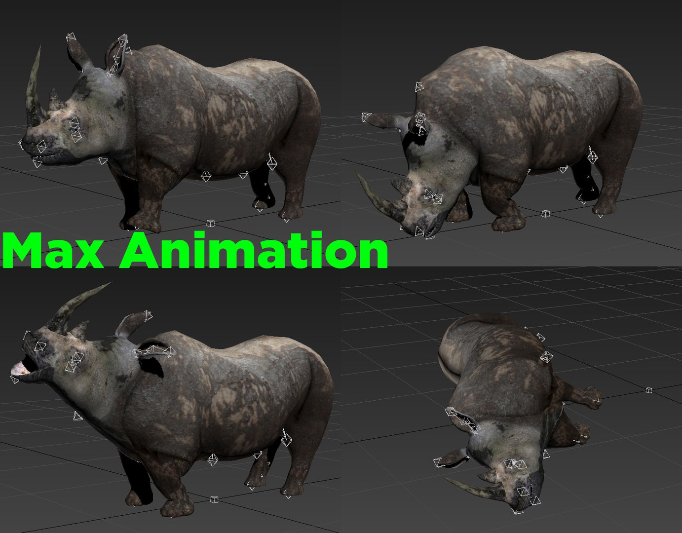 Realistic Rhino Rigged Animation 3D - TurboSquid 1271278