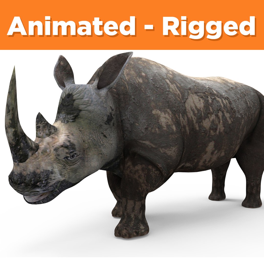 Realistic Rhino Rigged Animation 3D - TurboSquid 1271278