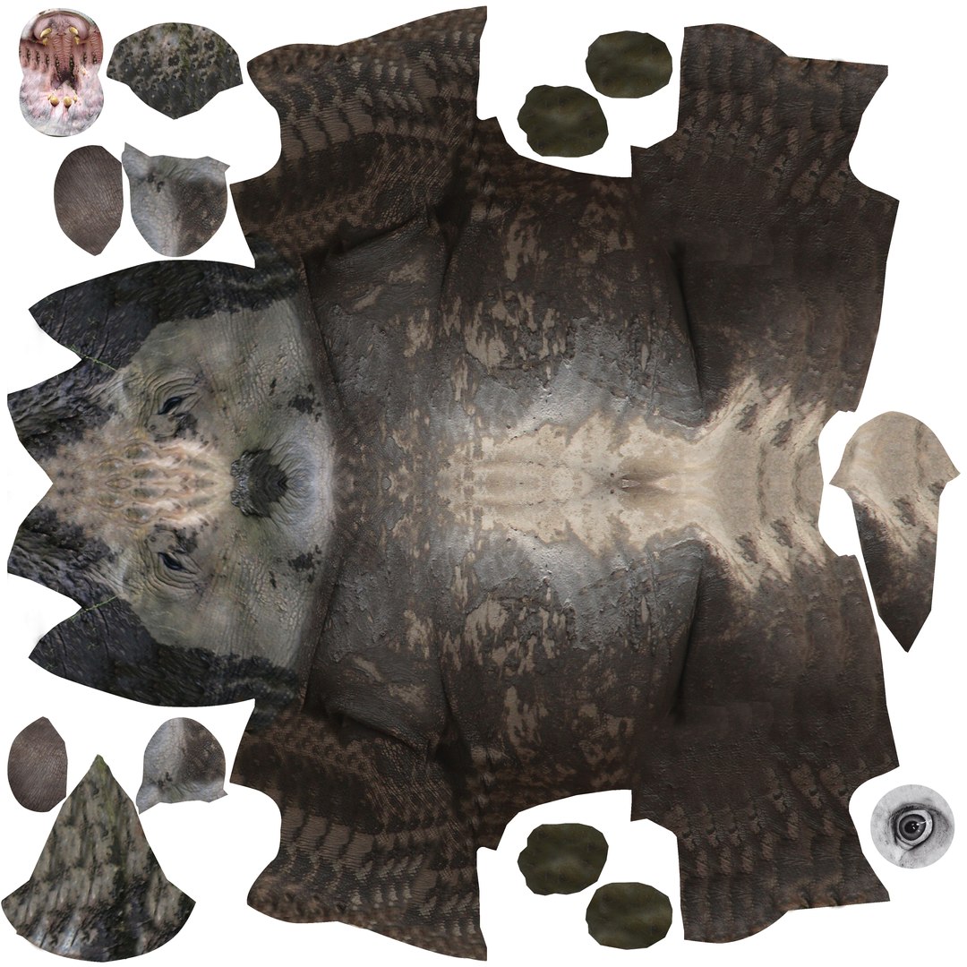 Realistic Rhino Rigged Animation 3D - TurboSquid 1271278