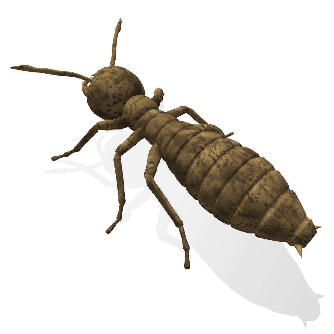 Termite Worker Insect 3d Max