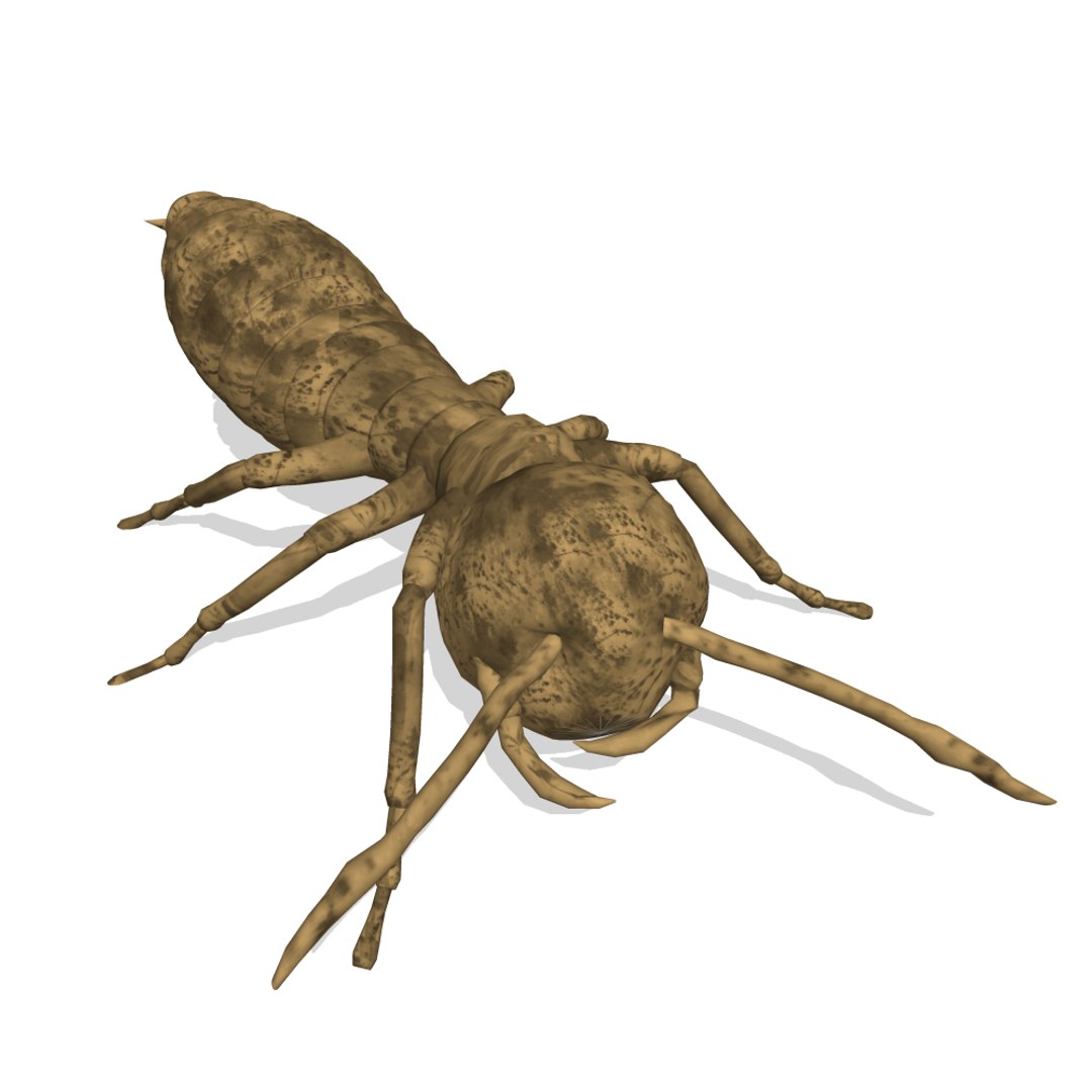 Termite Worker Insect 3d Max