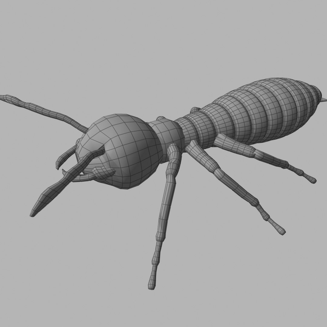 Termite Worker Insect 3d Max