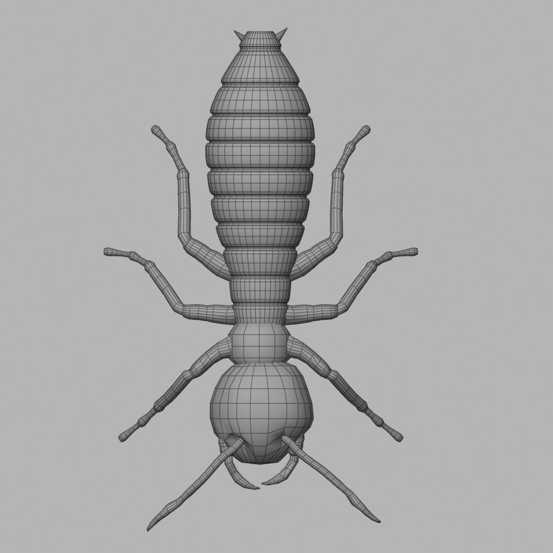 Termite Worker Insect 3d Max