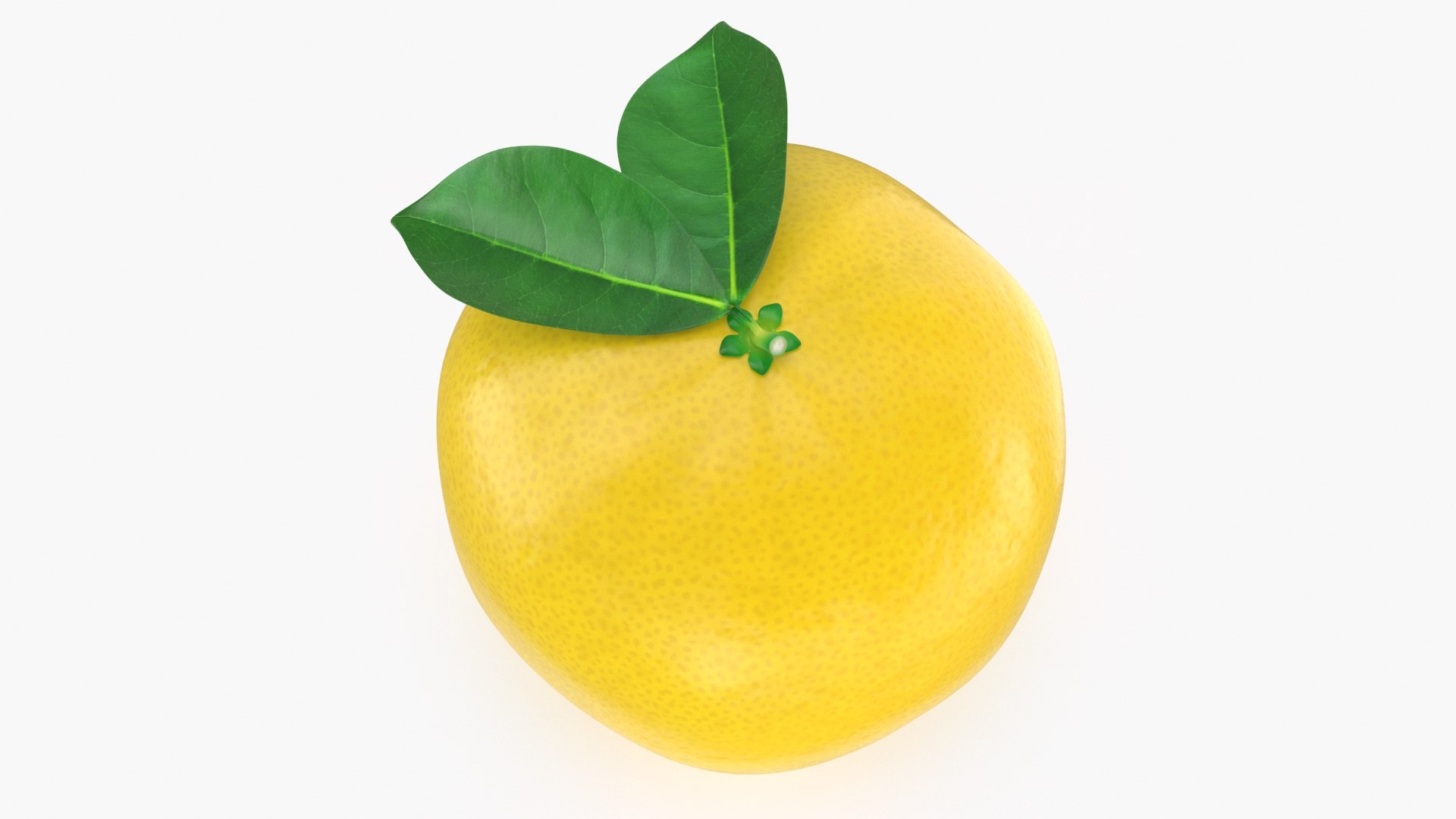 3D Whole Grapefruit Yellow - TurboSquid 1998109