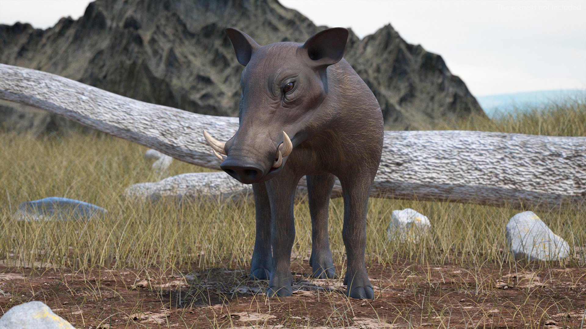 African Boar Standing Pose 3D Model - TurboSquid 2220666