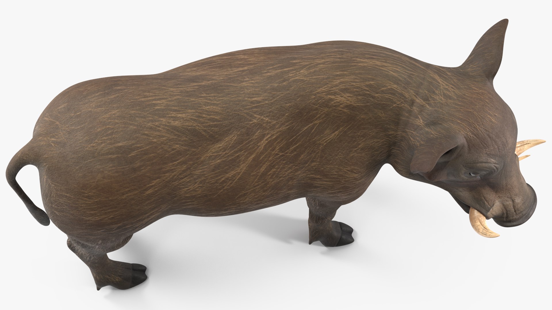 African Boar Standing Pose 3D Model - TurboSquid 2220666