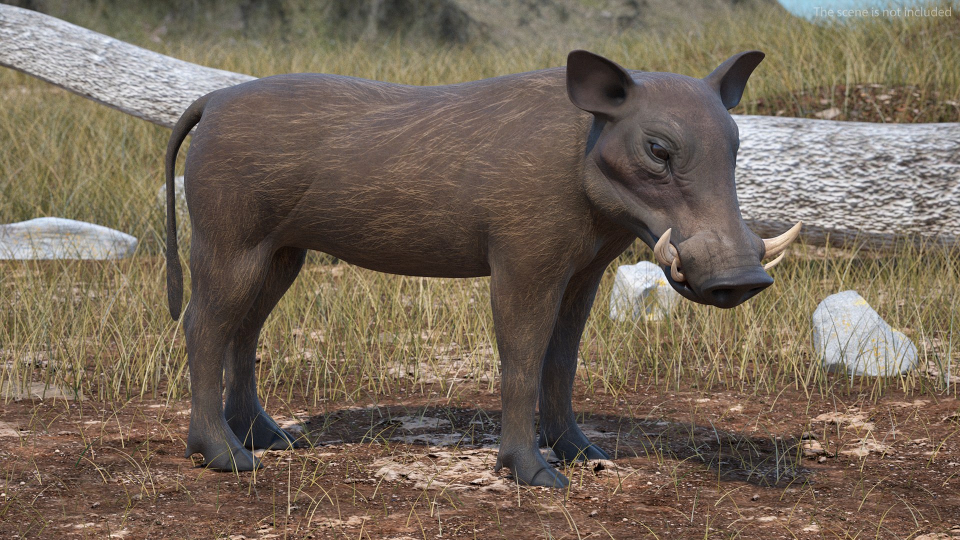 African Boar Standing Pose 3D Model - TurboSquid 2220666