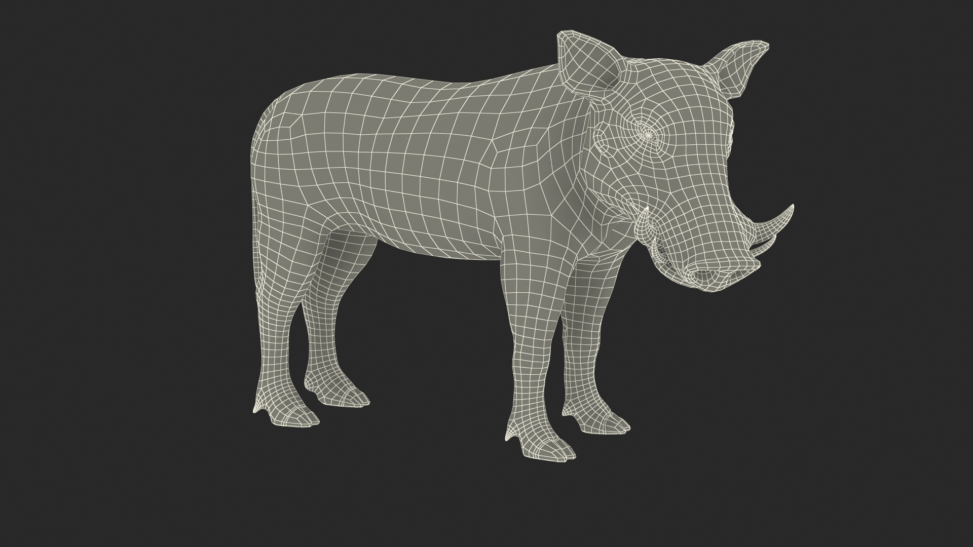 African Boar Standing Pose 3D Model - TurboSquid 2220666