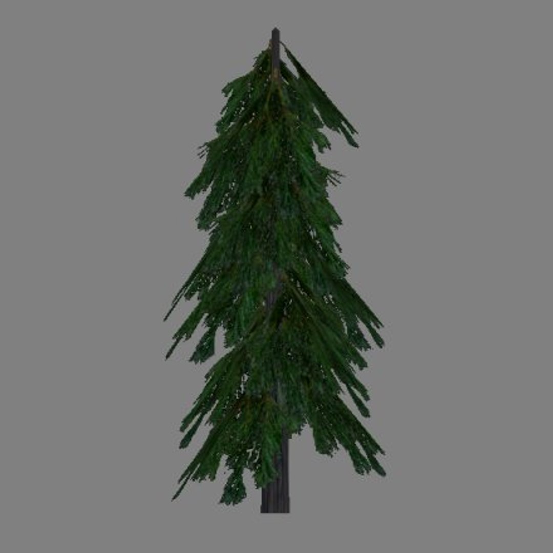 Low-poly Pine Tree 3d Model