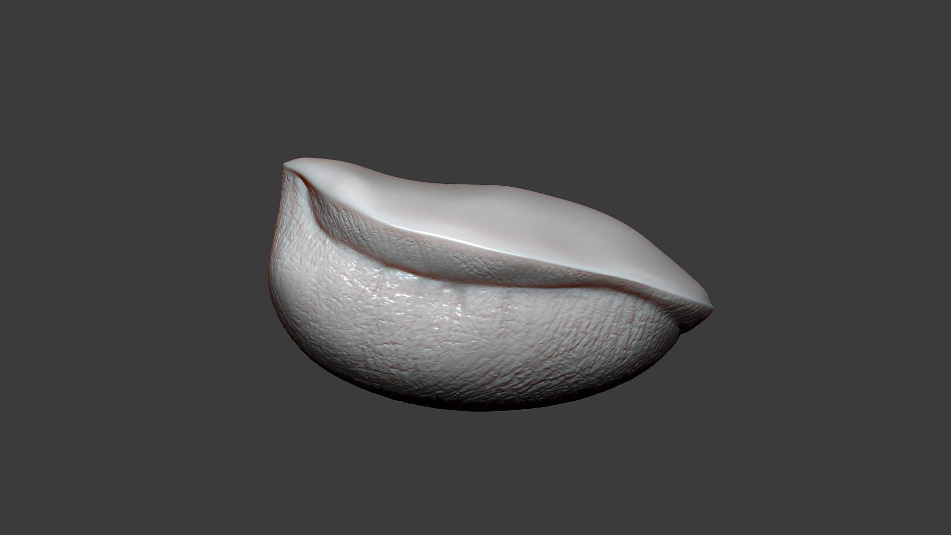 3D Cat Pad Highpoly Sculpt Model - TurboSquid 1804961