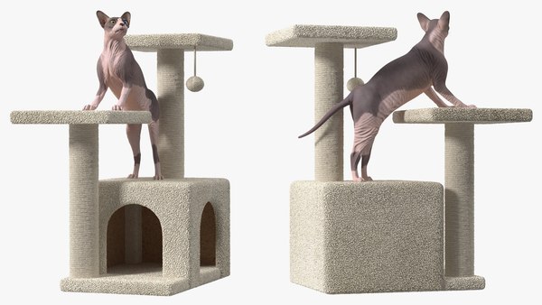 3D model Cat Tree 3-Level with Cat - TurboSquid 1819412