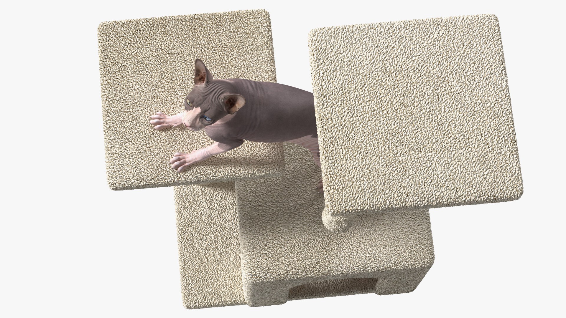 3D Model Cat Tree 3-Level With Cat - TurboSquid 1819412