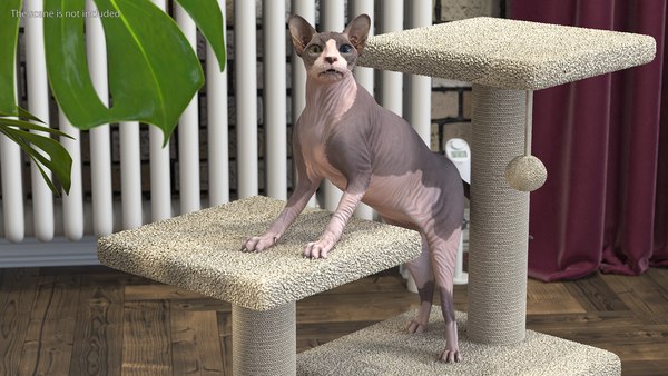3D model Cat Tree 3-Level with Cat - TurboSquid 1819412