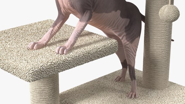 3D model Cat Tree 3-Level with Cat - TurboSquid 1819412