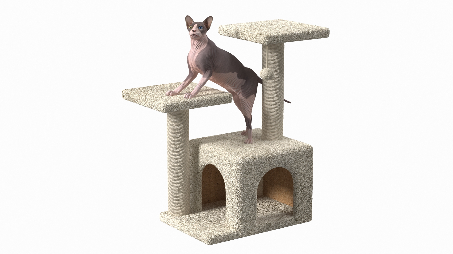 3D Model Cat Tree 3-Level With Cat - TurboSquid 1819412