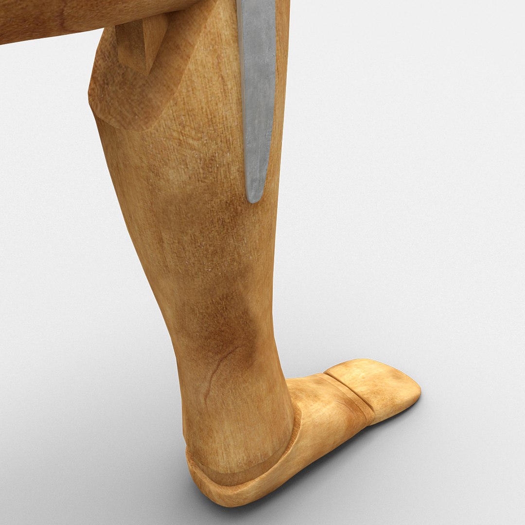 Prosthetic Leg 3