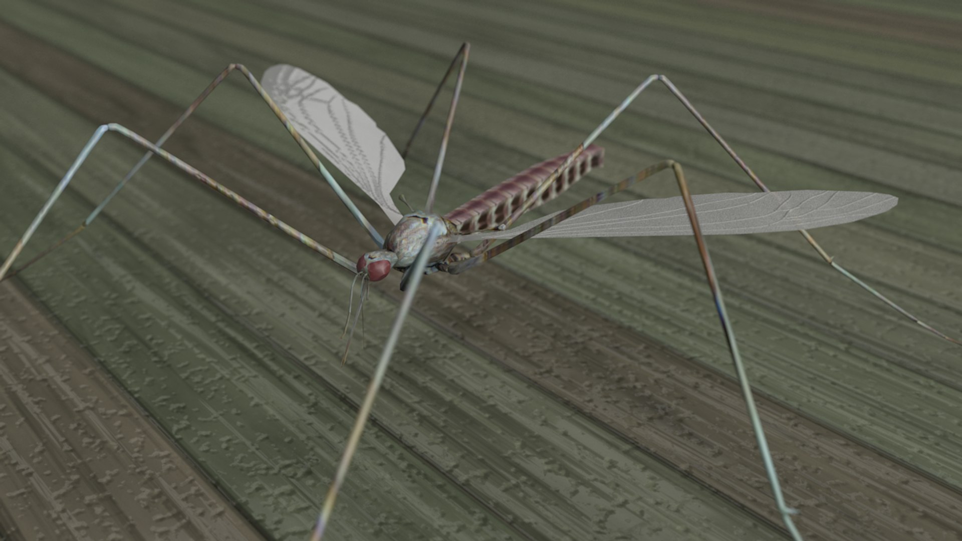 Mosquito Insect 3D Model - TurboSquid 1367252