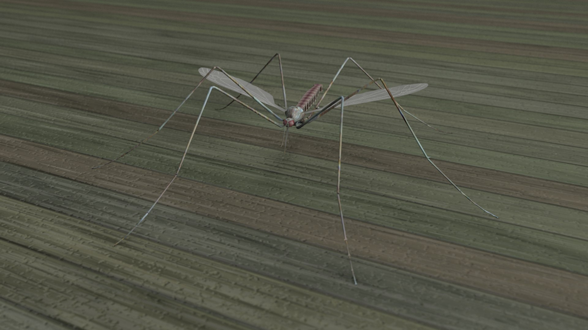 Mosquito Insect 3D Model - TurboSquid 1367252