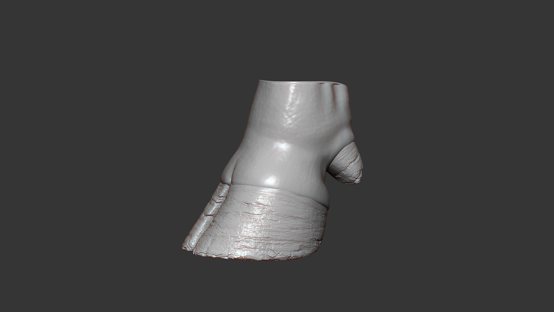 Bull Hoof Highpoly Sculpt 3D - TurboSquid 1809068