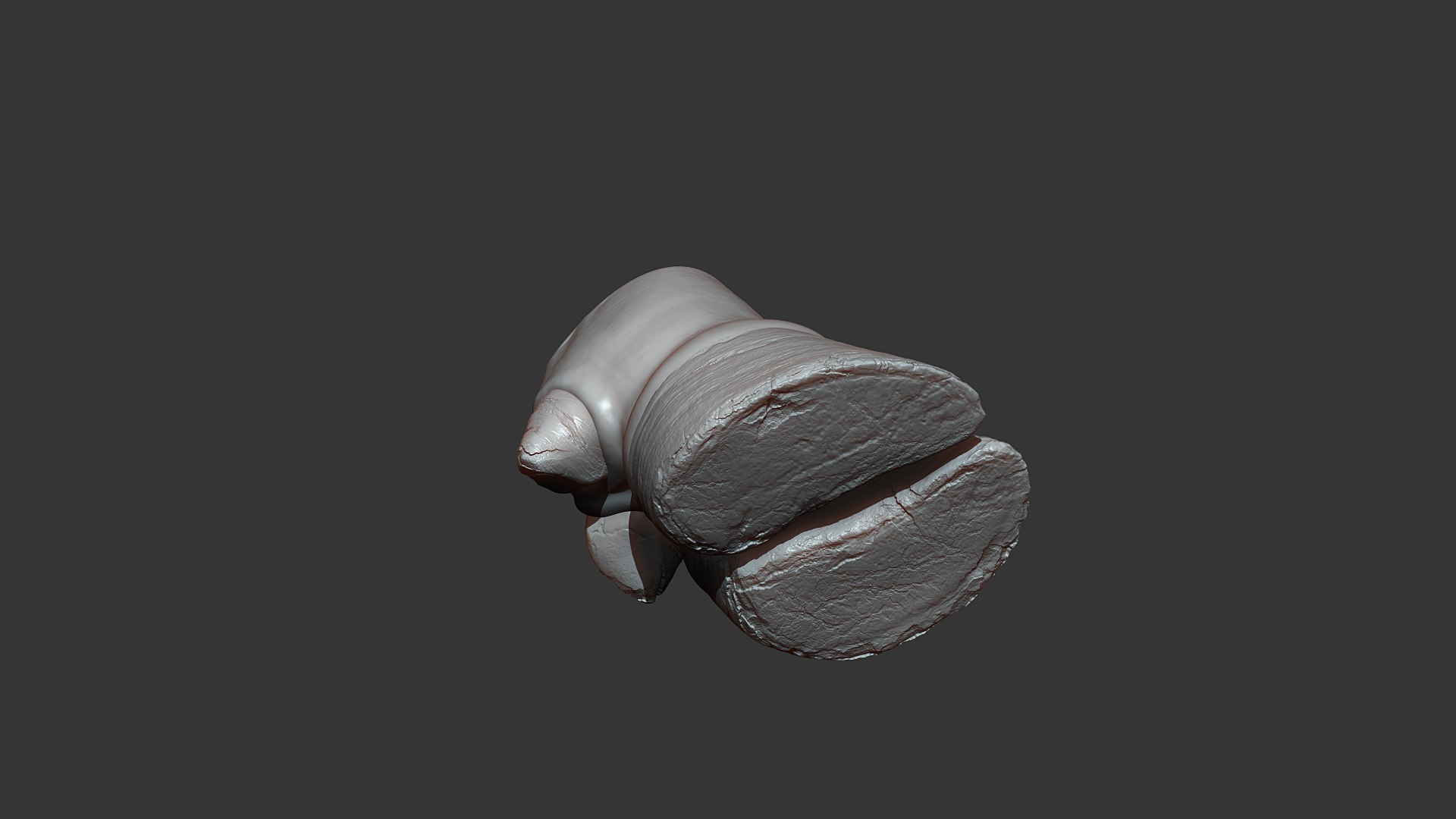 Bull Hoof Highpoly Sculpt 3D - TurboSquid 1809068