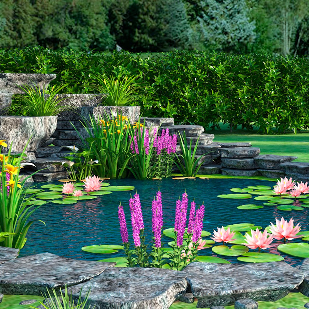 Pond 3D Model - TurboSquid 1278926