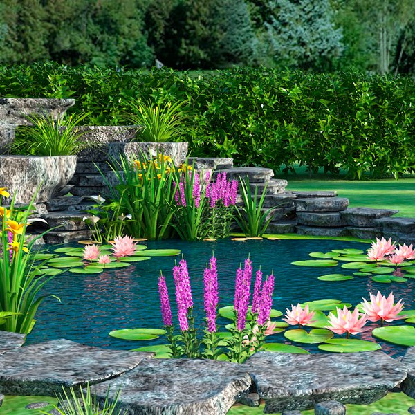 3D Pond Models | TurboSquid