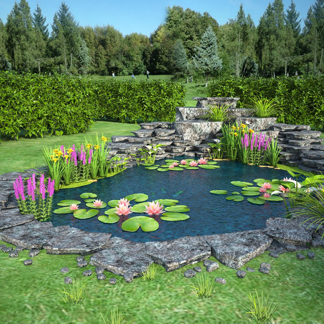 Pond 3D Model - TurboSquid 1278926