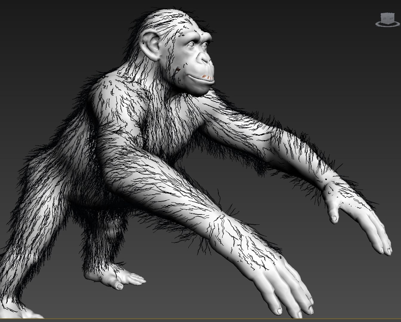 Chimpanzee Animation X
