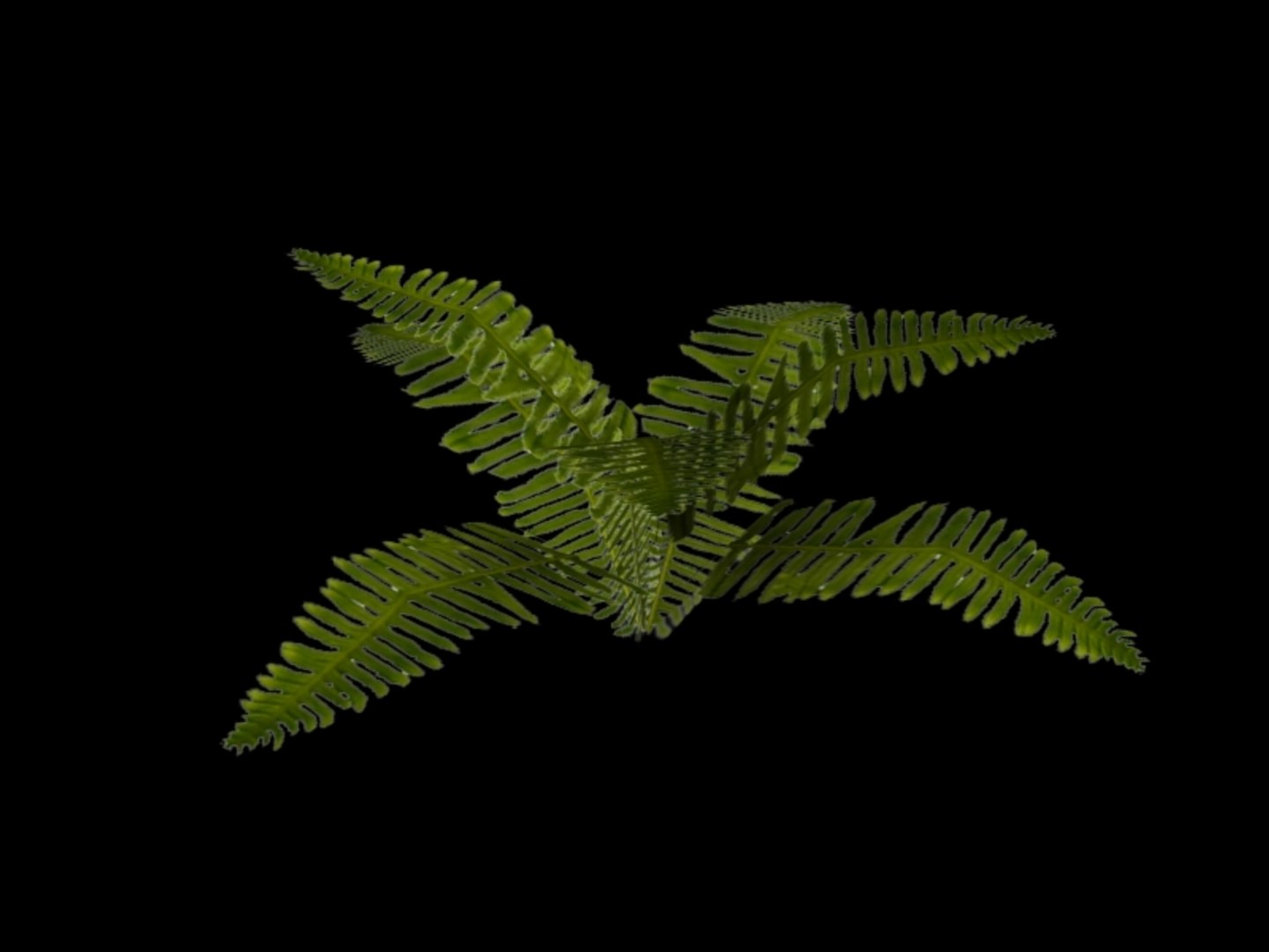 Fern Alpha 3d Max