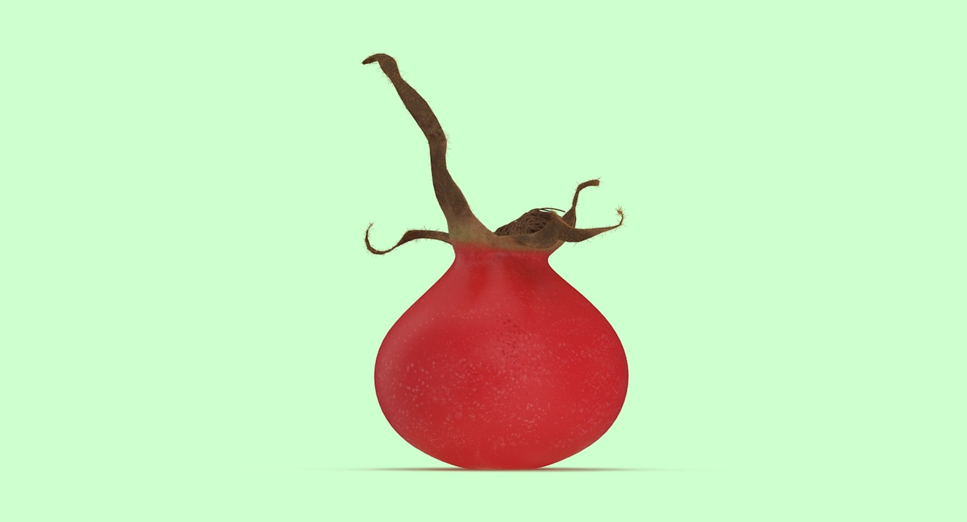 Rose Hip 3d Model