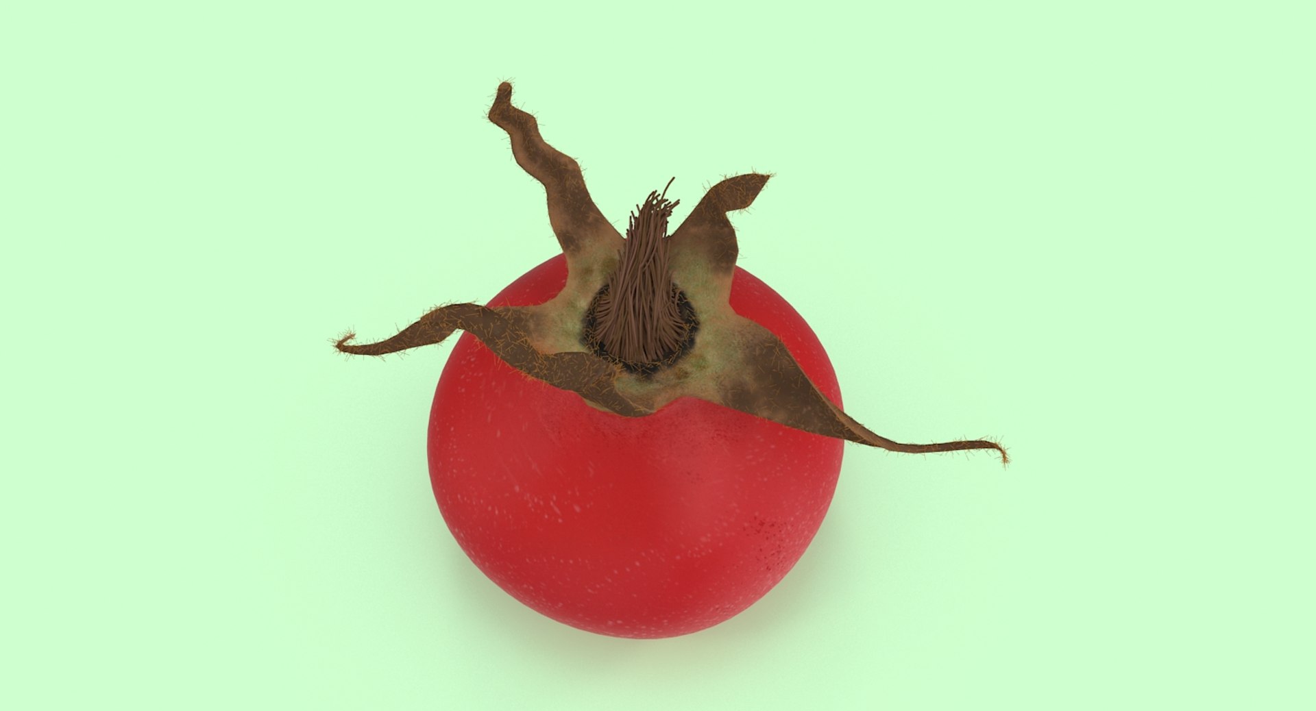 Rose Hip 3d Model