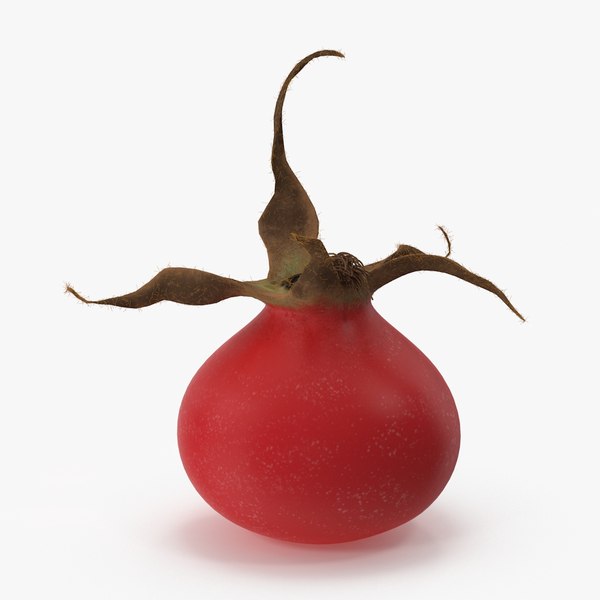 rose hip 3d model