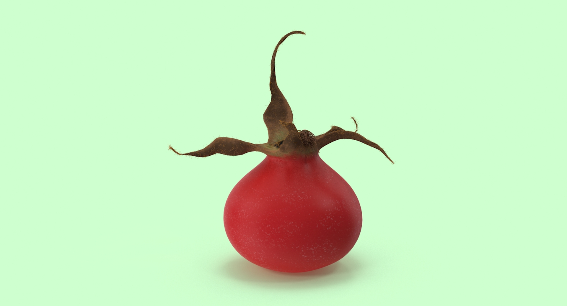 Rose Hip 3d Model