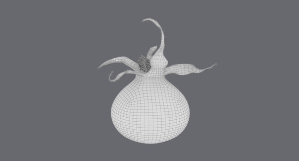 rose hip 3d model