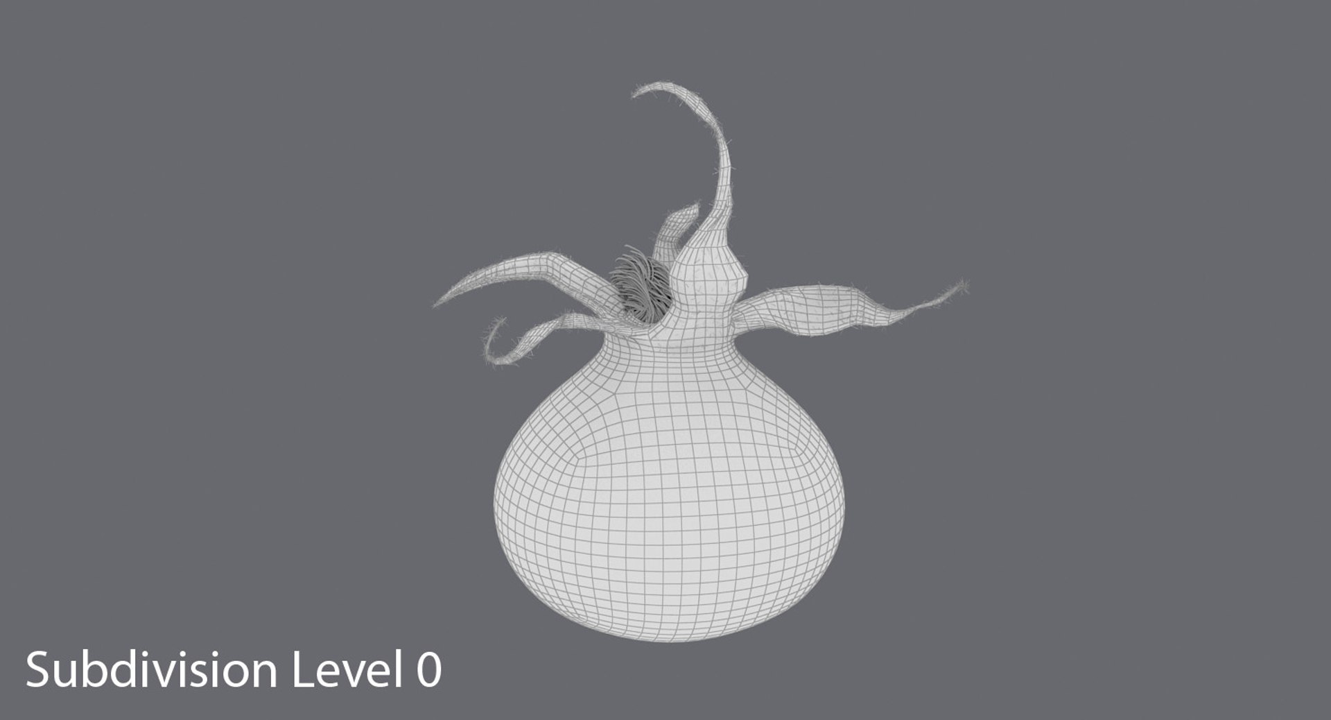 Rose Hip 3d Model