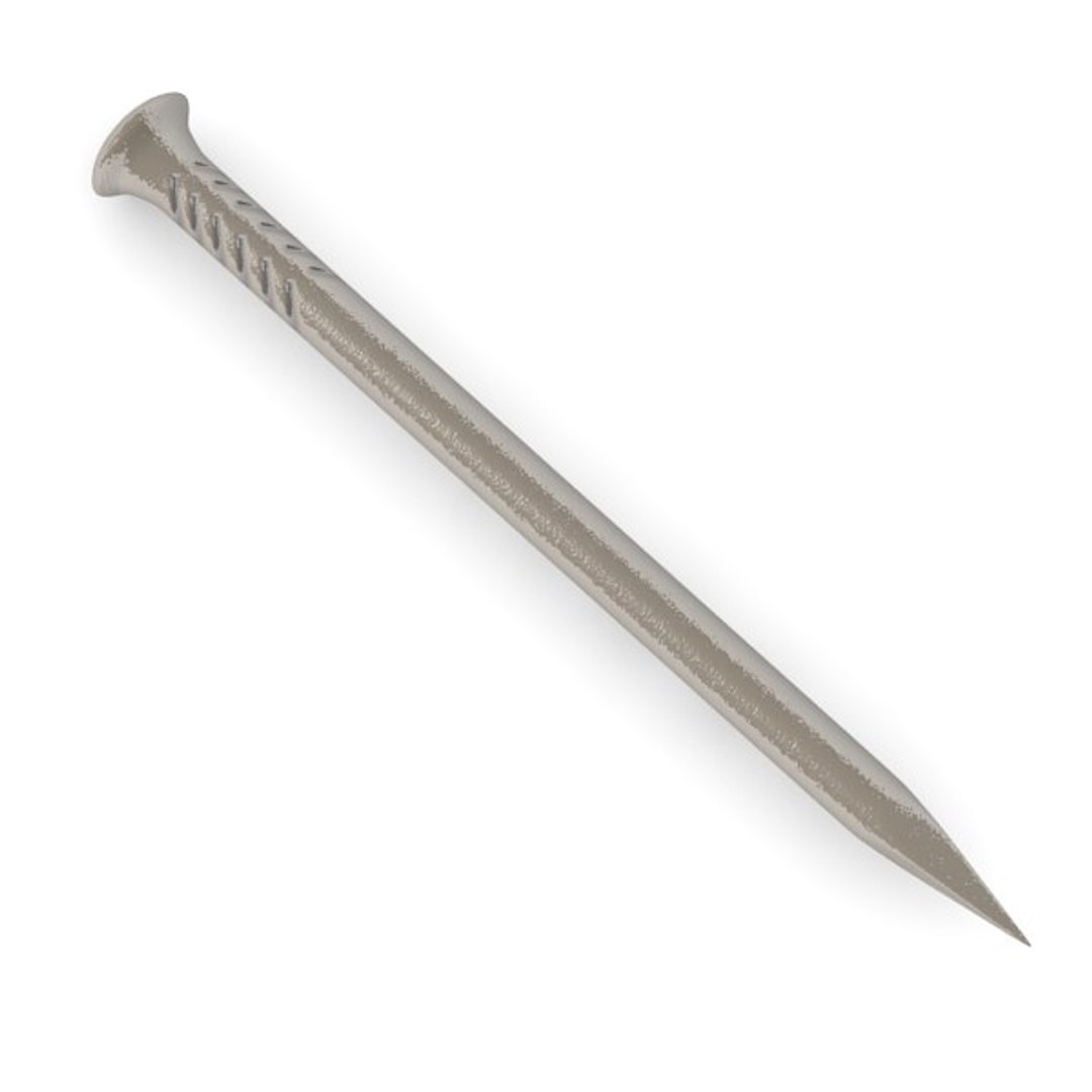Nail Clout 3d Model