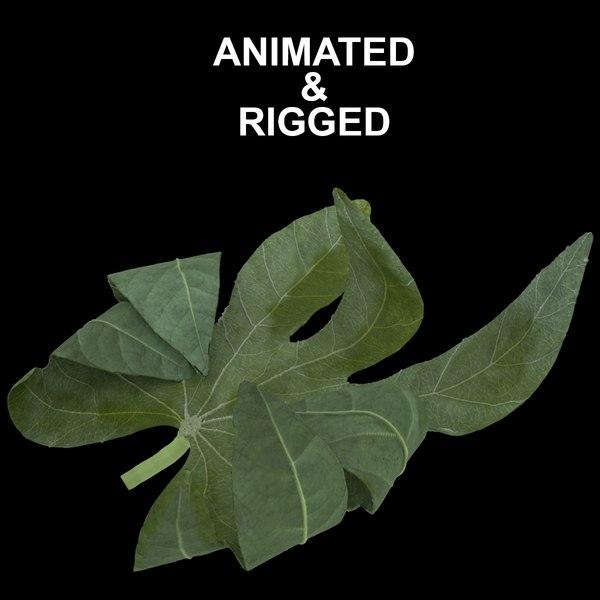 Animated Leaf 3D Models for Download | TurboSquid