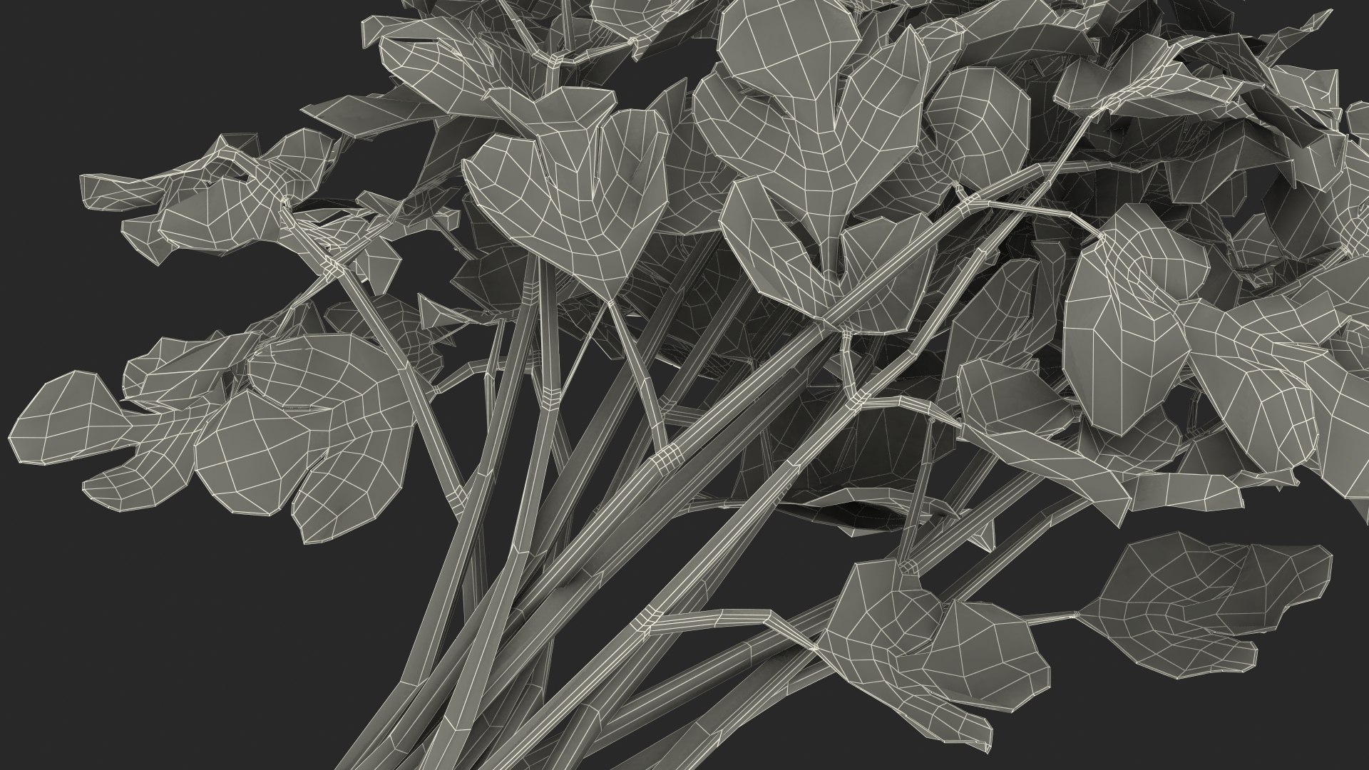 Cilantro Bunch 3D - TurboSquid 1881133