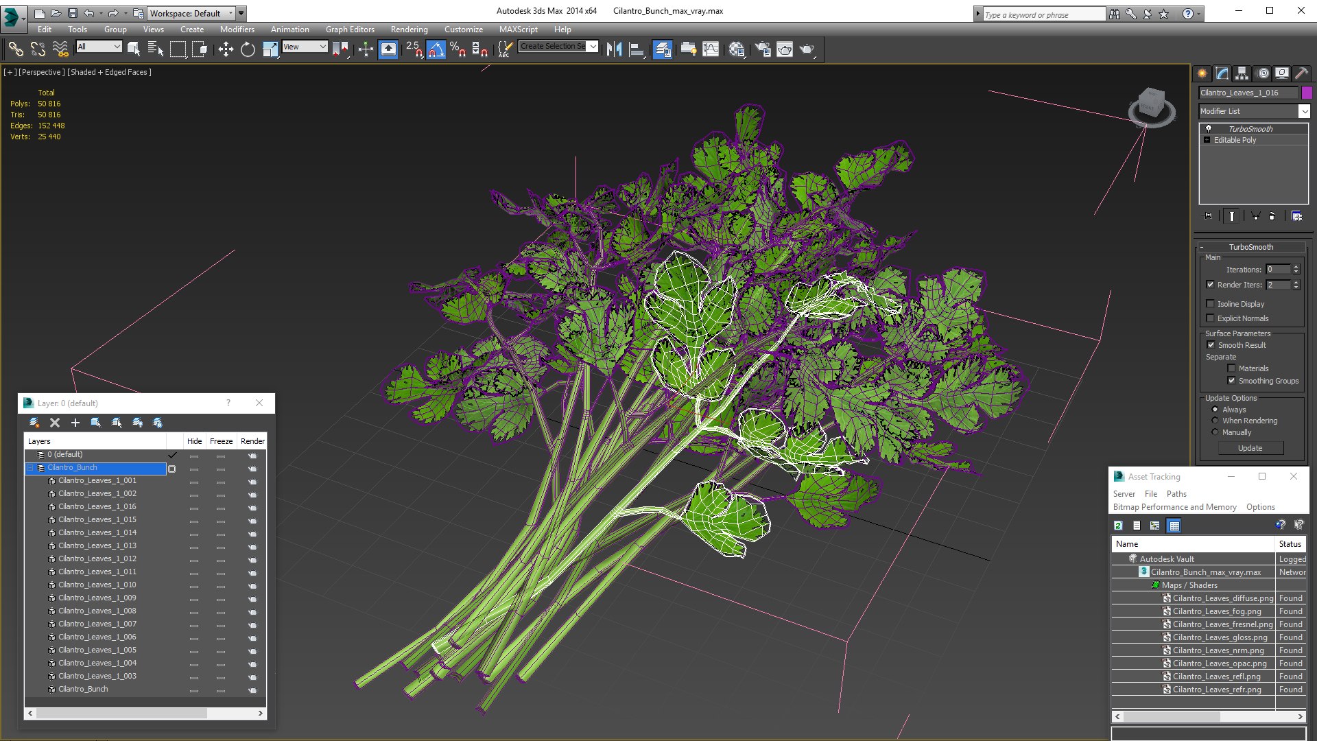 Cilantro Bunch 3D - TurboSquid 1881133