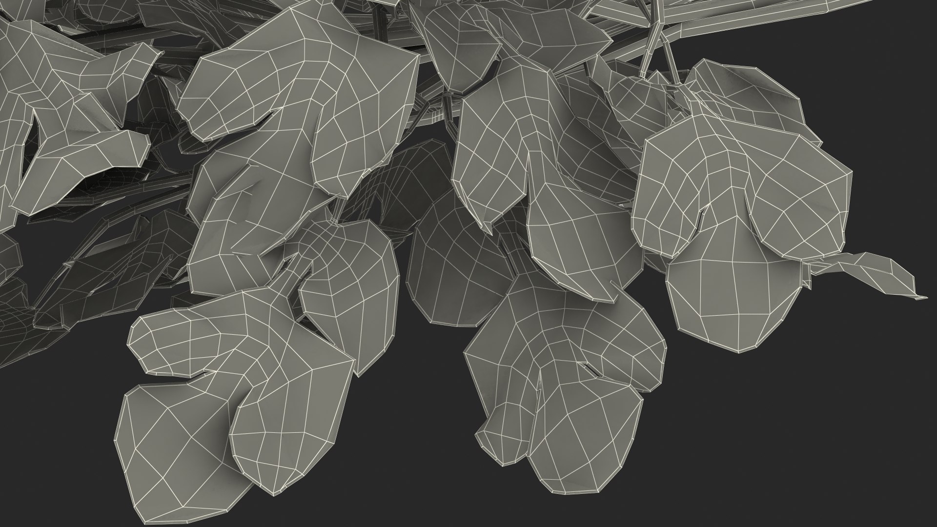 Cilantro Bunch 3D - TurboSquid 1881133