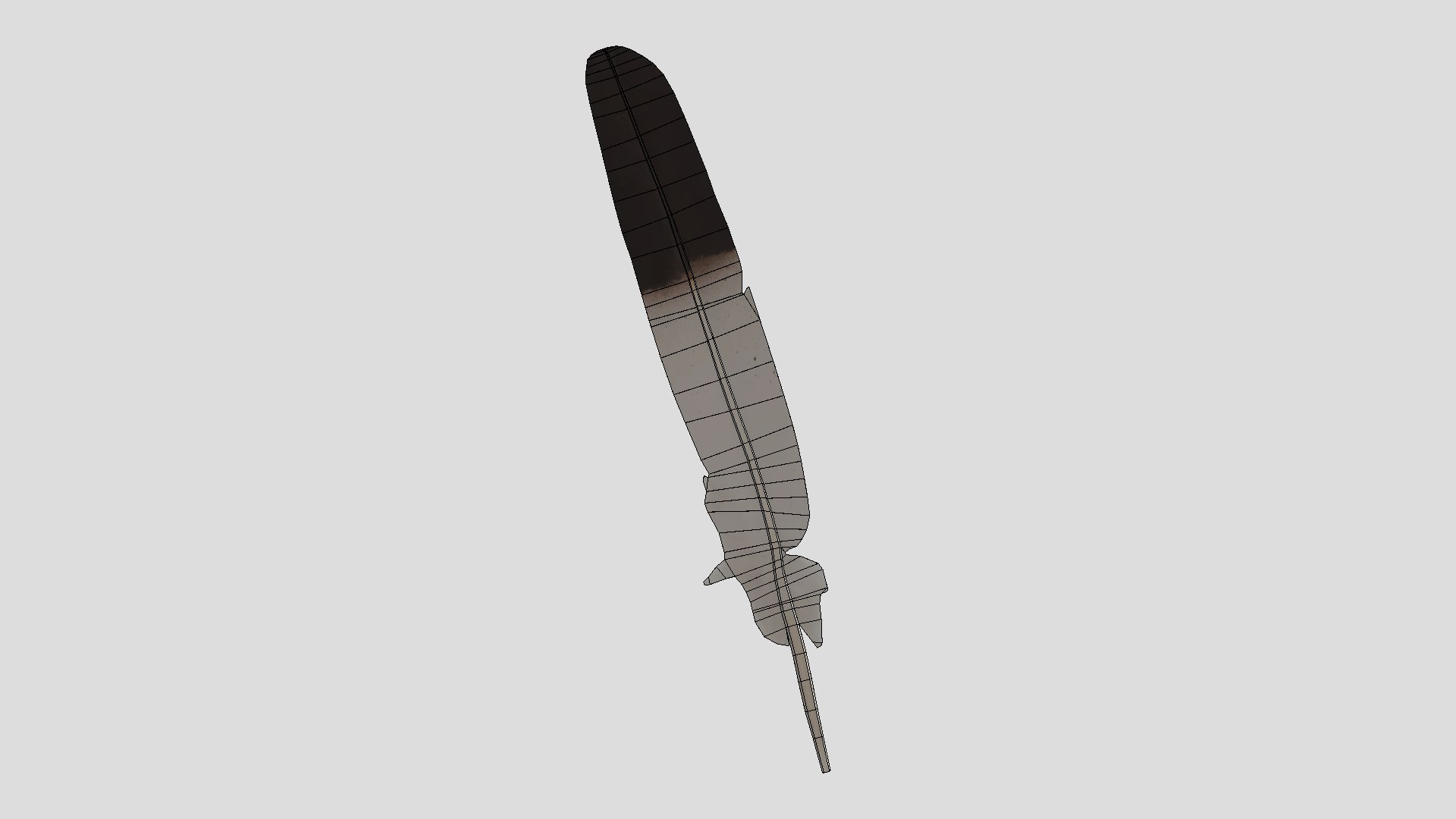 Feather 2 3D Model - TurboSquid 2221151