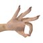 female hand 3 rigged max