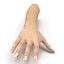 female hand 3 rigged max