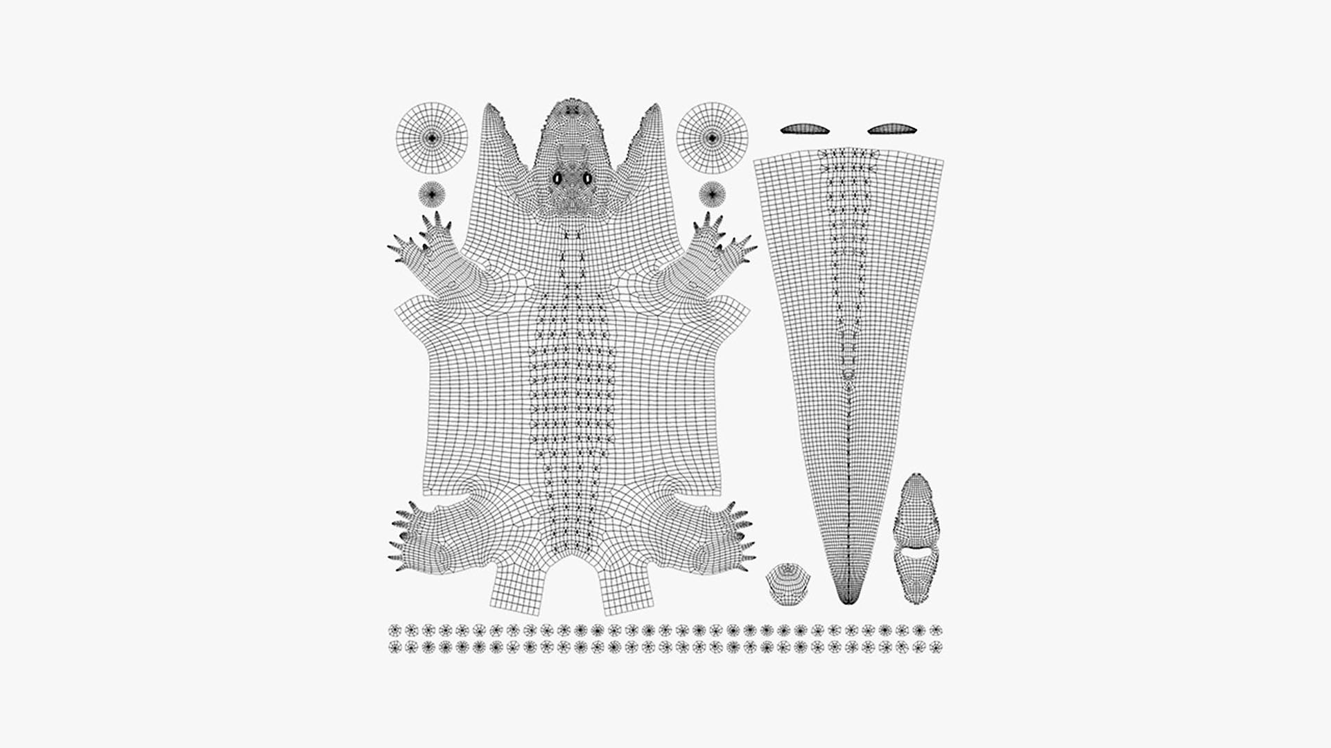 3D ALI-001 Rigged Alligator Model - TurboSquid 2383920