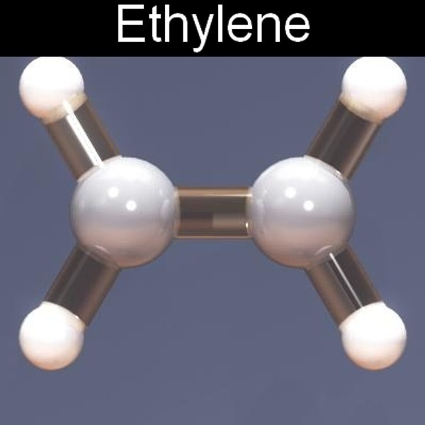 c6h6 biology 3d model