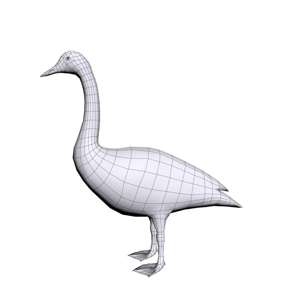 3D Swan Models | TurboSquid