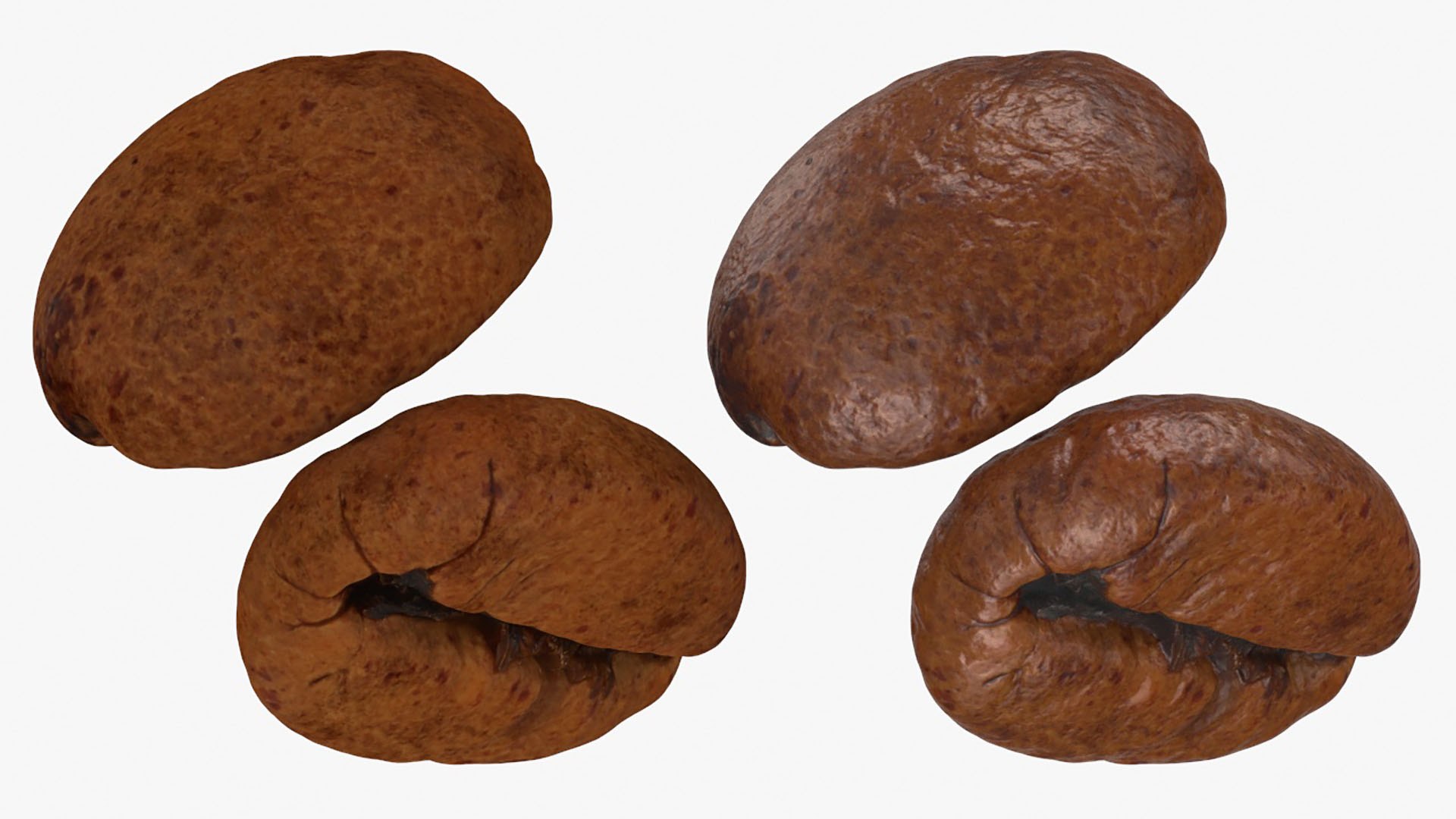 3D Coffee Bean Collection 3 - TurboSquid 2289118